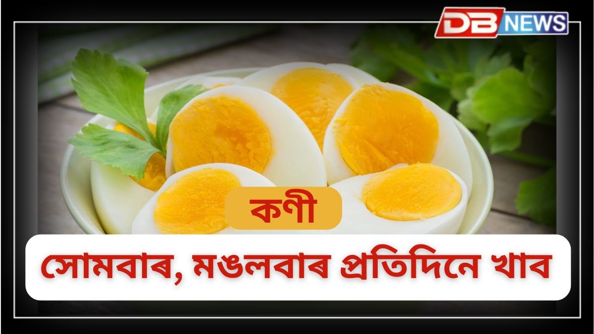 Egg: সোমবাৰ, মঙলবাৰ প্ৰতিদিনে খাব কণী; যিকোনো বয়সৰ লোকৰ দুৰ্বল নহ’ব ...